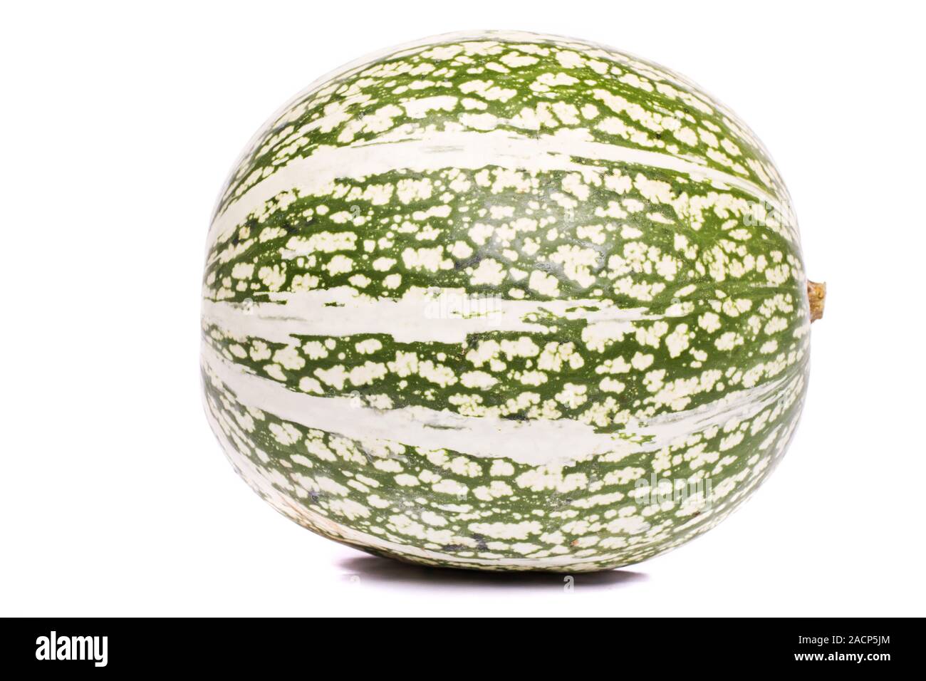 Striped spots hi-res stock photography and images - Alamy