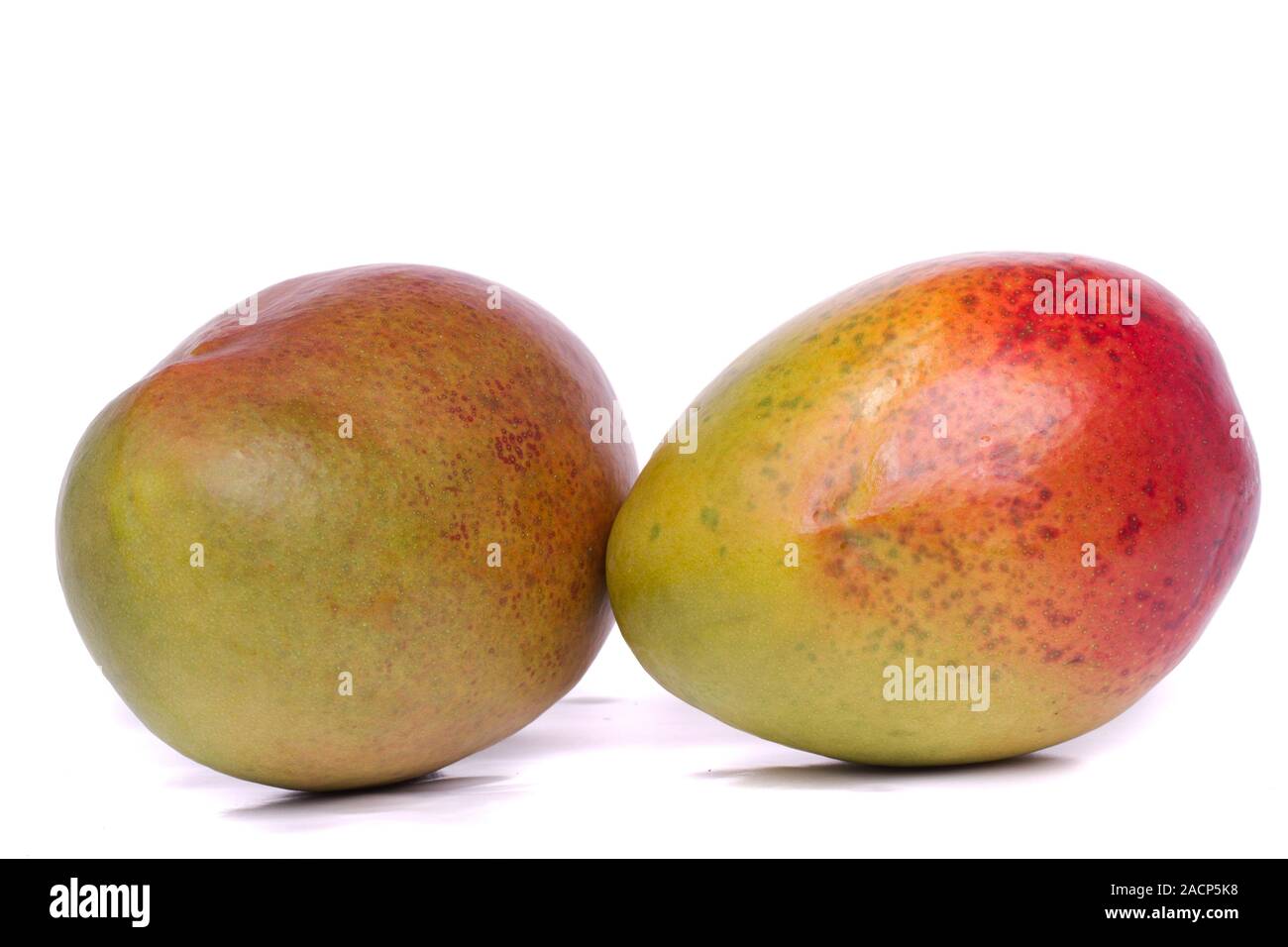 two fresh mango fruits Stock Photo - Alamy
