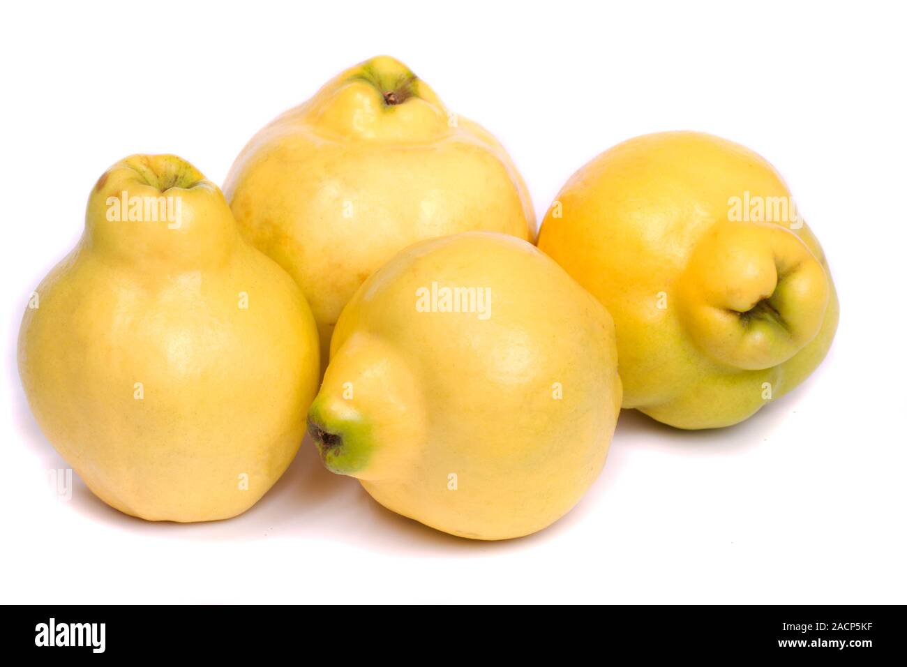 fresh quince fruit Stock Photo - Alamy