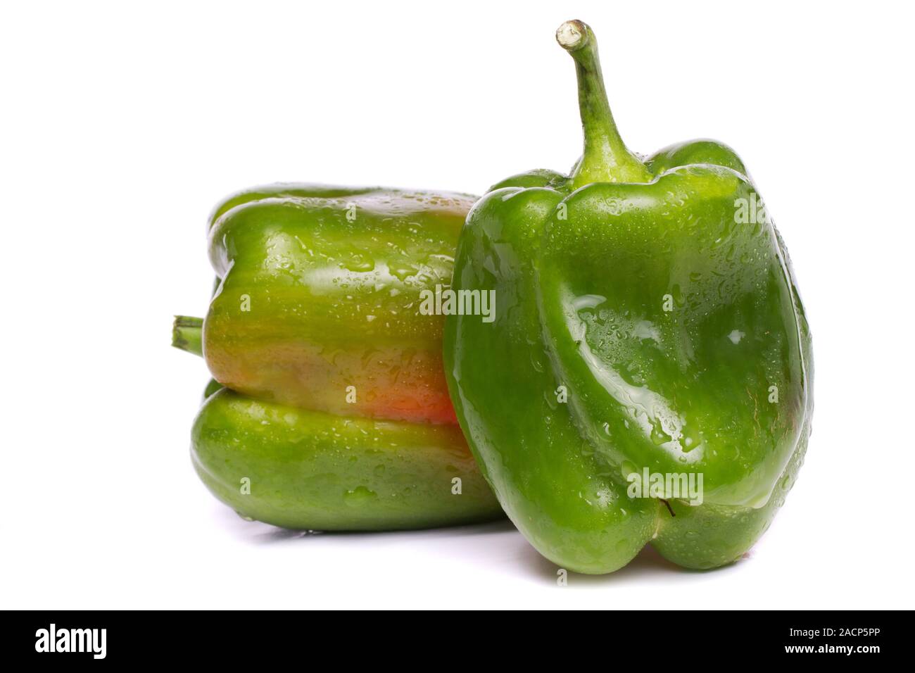 Green pepper plant drops hi-res stock photography and images - Alamy
