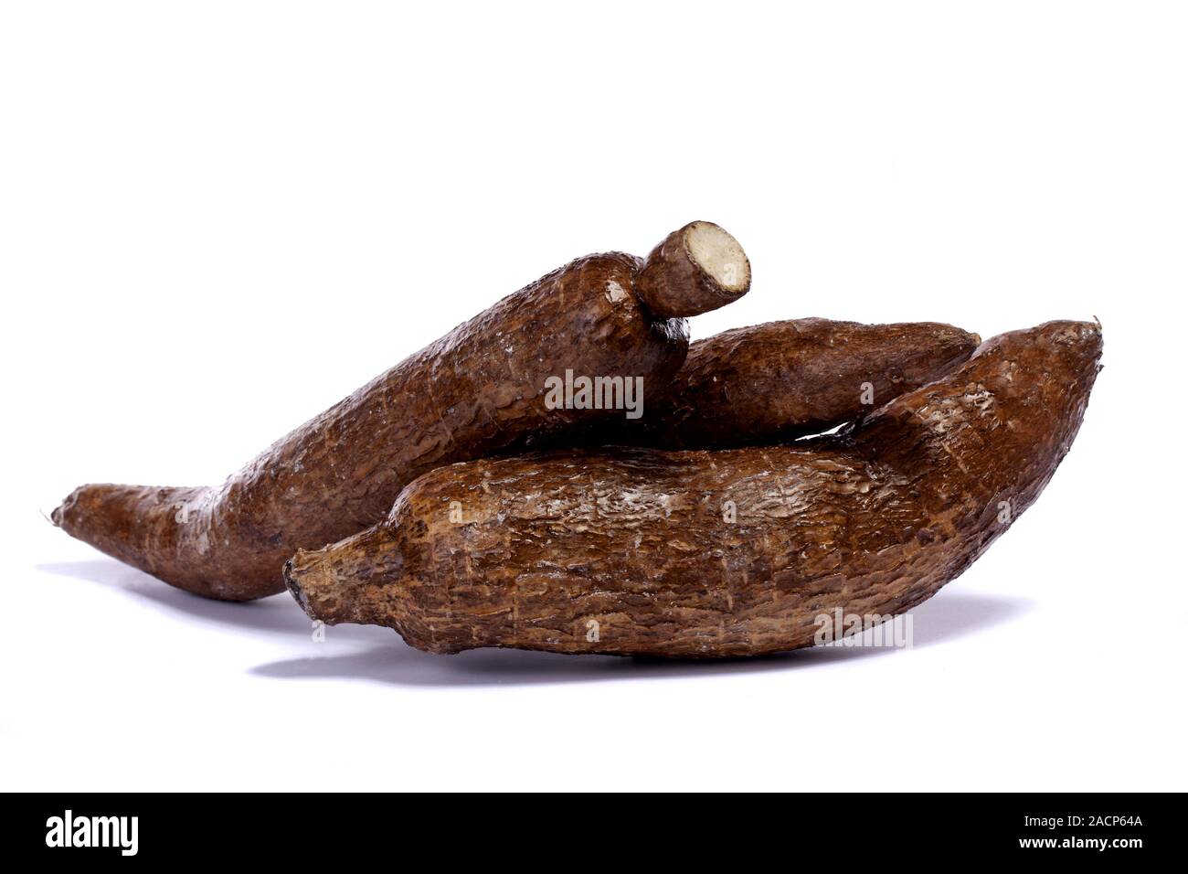 Cassava root and plant hi-res stock photography and images - Alamy