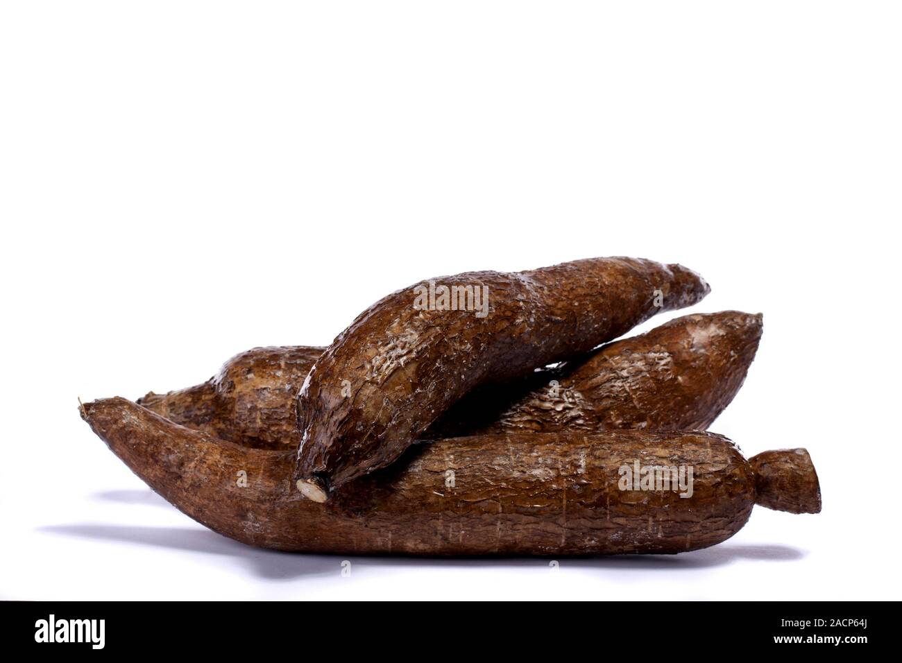 Cassava root and plant hi-res stock photography and images - Alamy