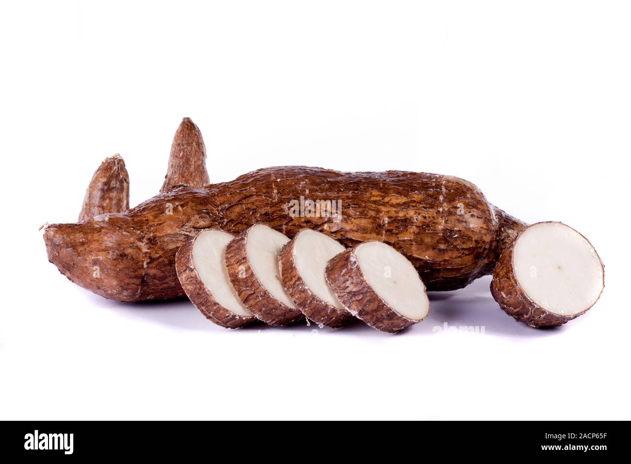 Cassava root hi-res stock photography and images - Alamy