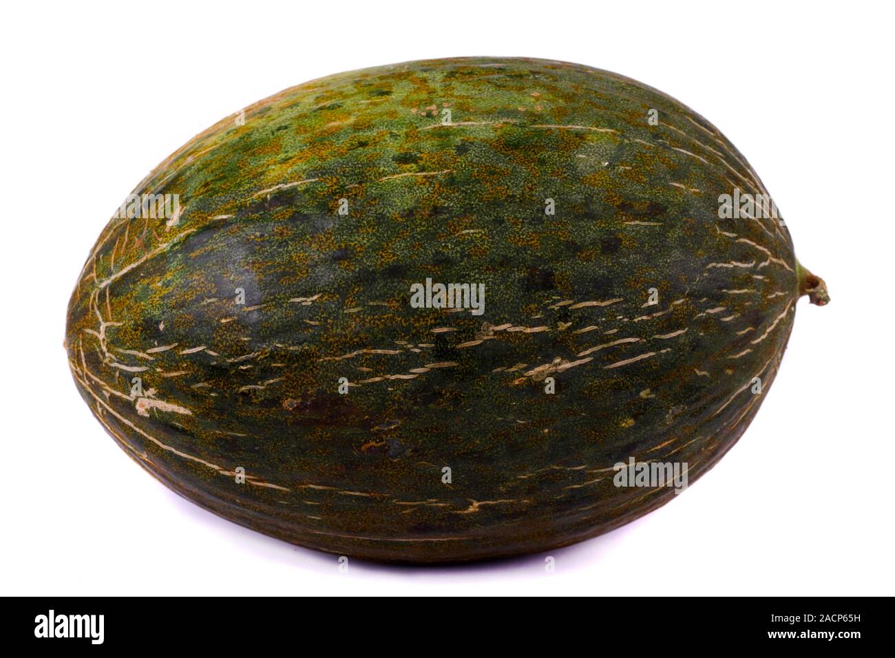 Oval melon hi-res stock photography and images - Alamy