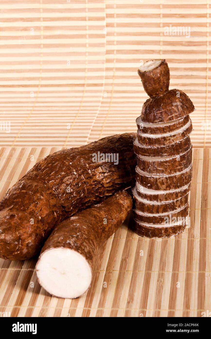 Manioc root hi-res stock photography and images - Alamy