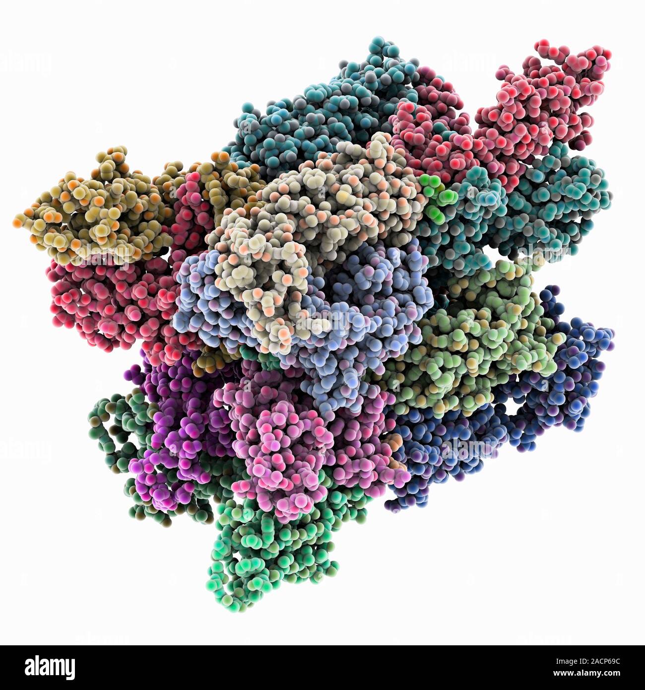 Multiple sclerosis protein complex, molecular model. The proteins ...