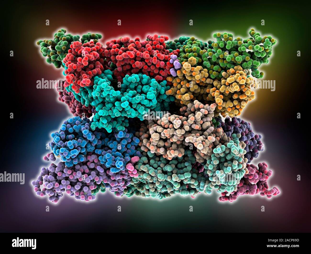 Multiple sclerosis protein complex, molecular model. The proteins ...