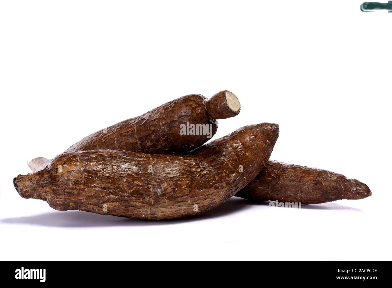 Cassava root and plant hi-res stock photography and images - Alamy