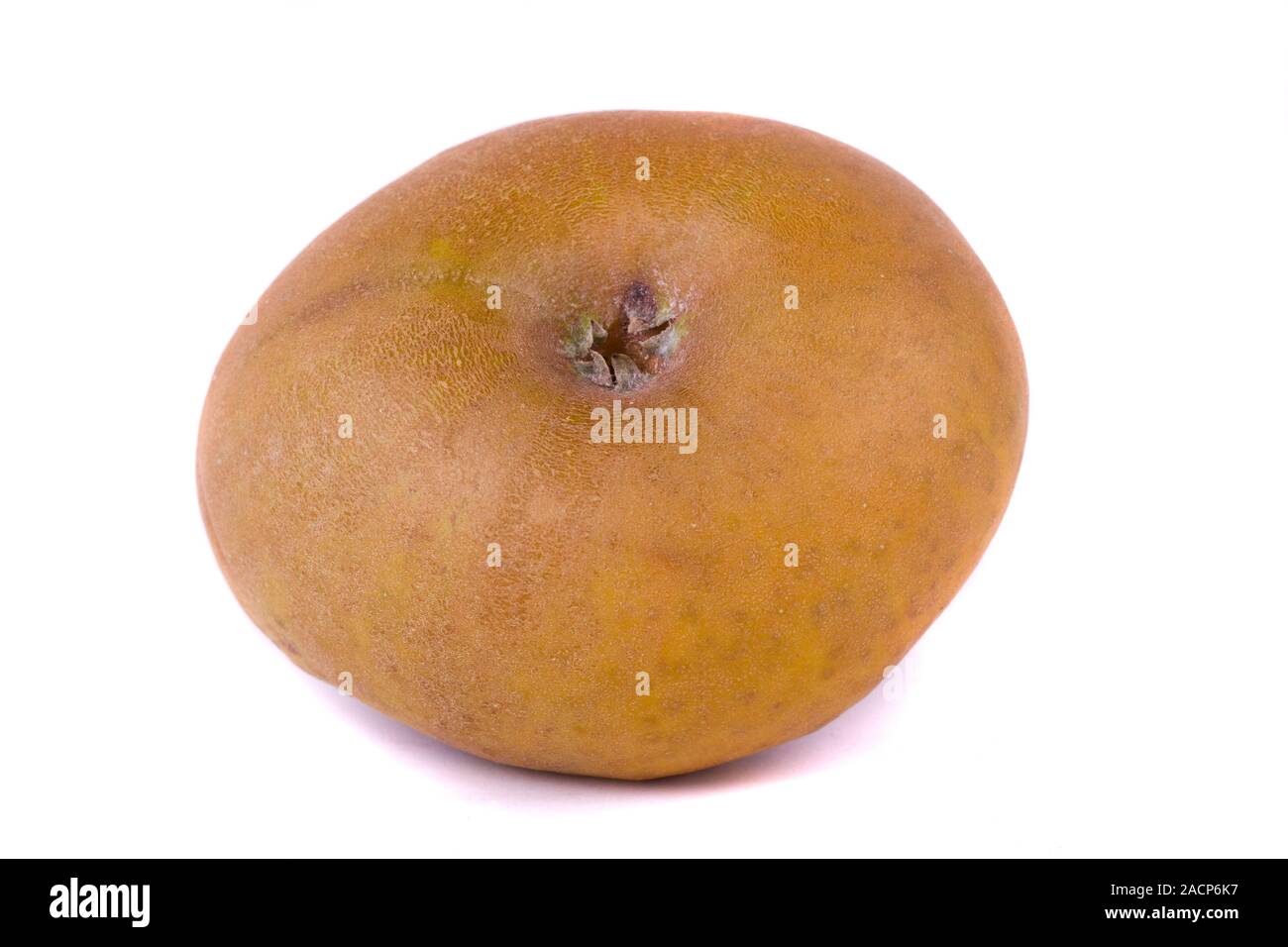 Cultivar apple hi-res stock photography and images - Alamy