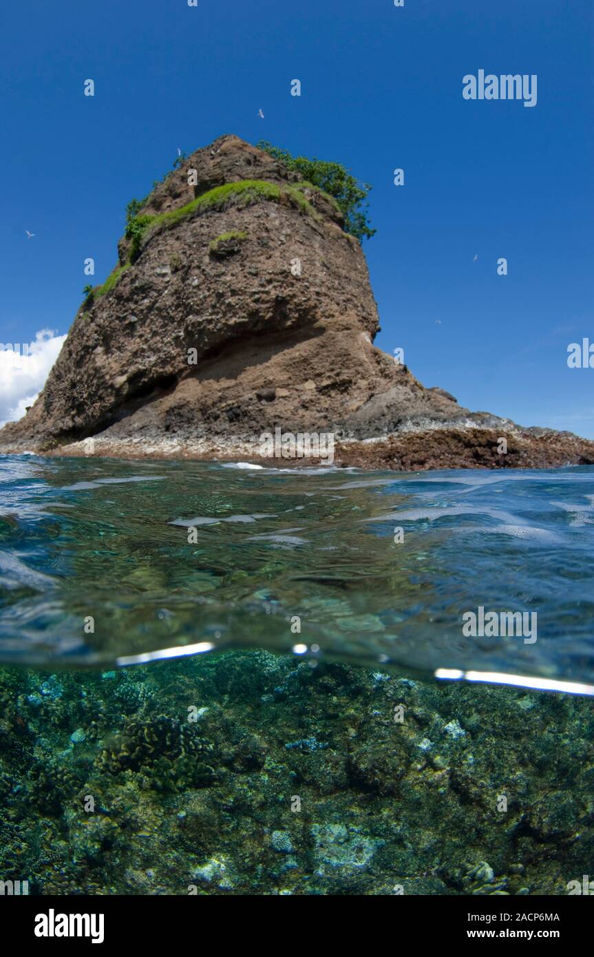 Split view image with rock pinnacle and reef below. Photographed at ...
