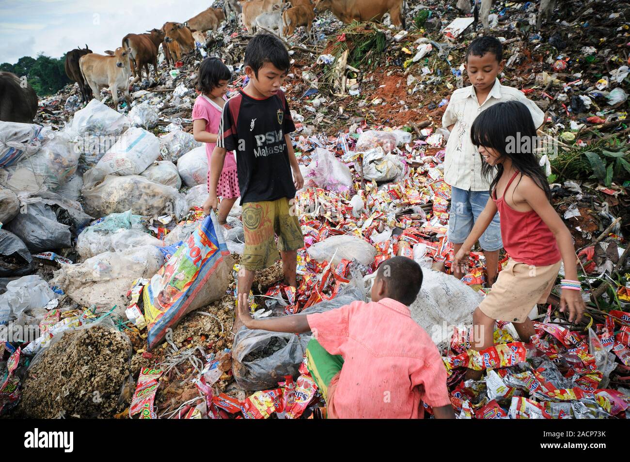 Landfill scavenging. Children searching landfill rubbish for food and ...
