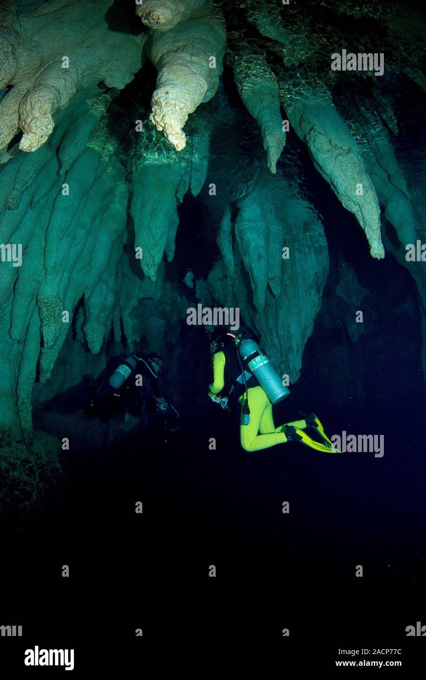 Underwater limestone cave formations with scuba divers. These ...