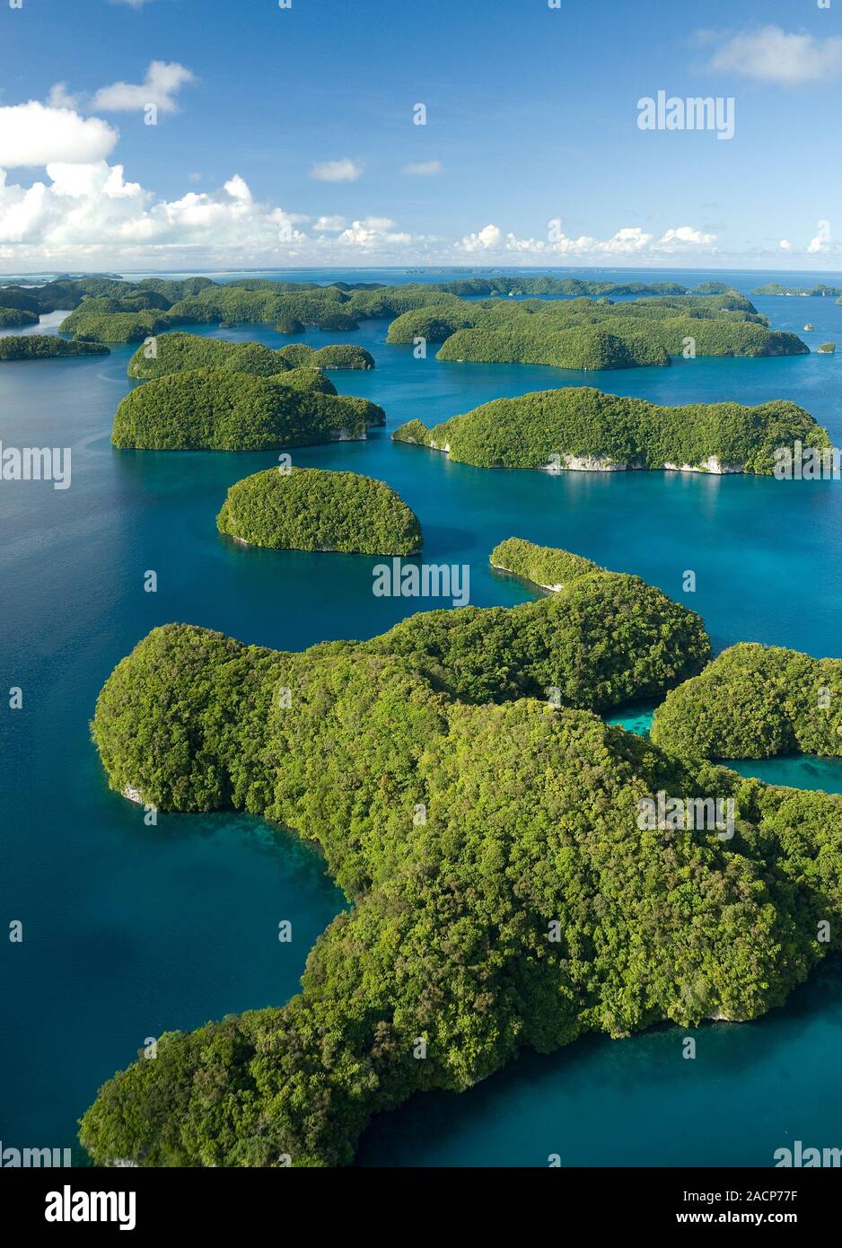 Limestone islands of Palau. Aerial photograph of the limestone ...