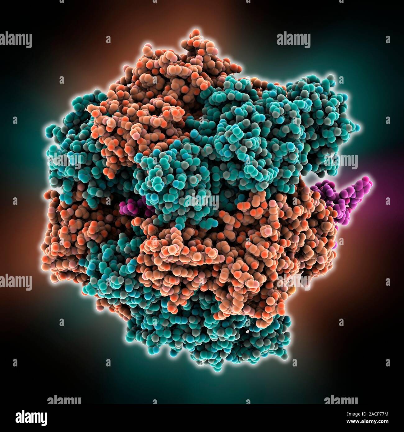 Atpase Molecule Computer Model Showing The Structure Of The Catalytic