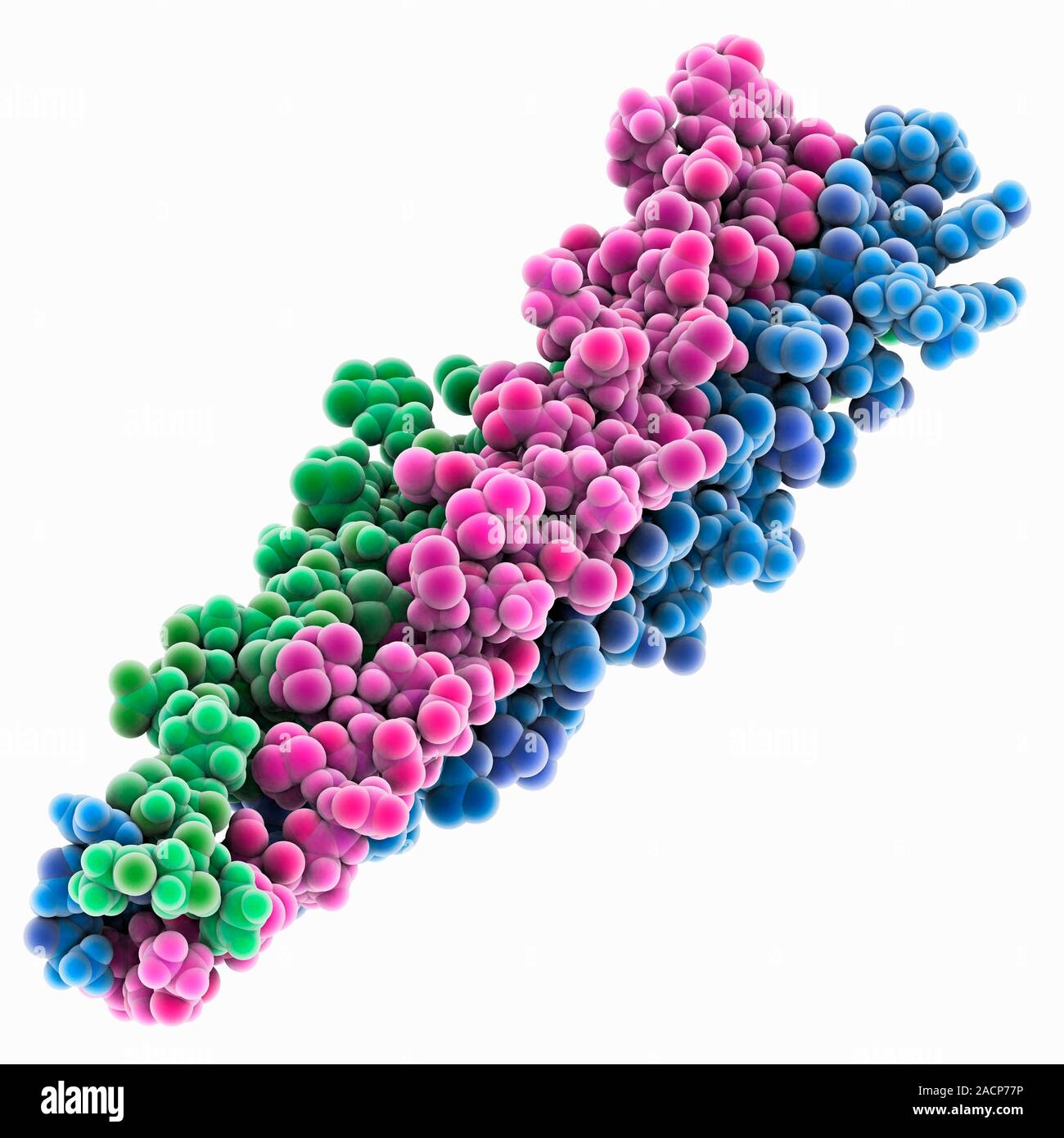 Sars Virus Surface Protein Molecular Model Of The Hr2 Heptad Repeat 2