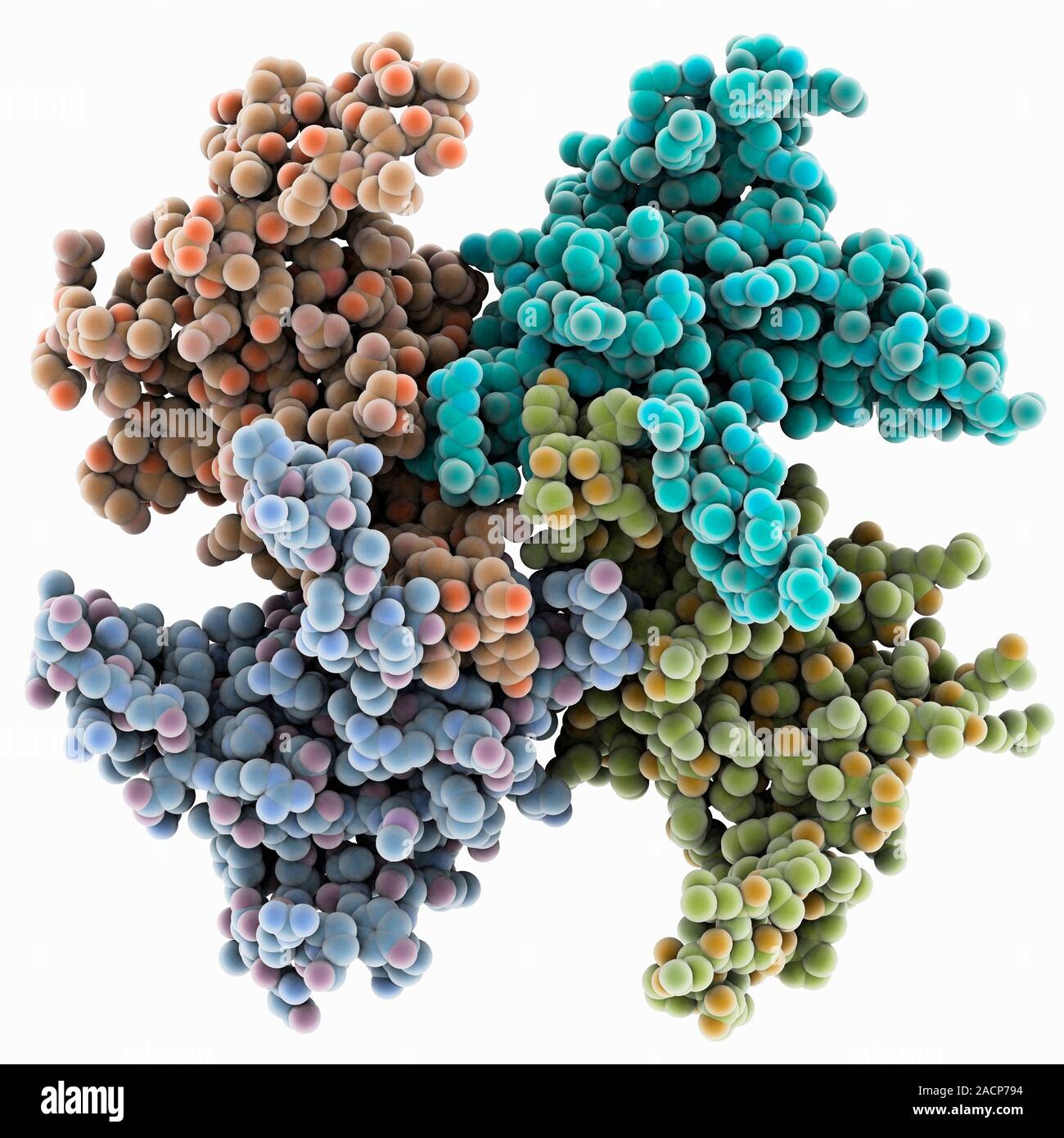 Mitochondrial RNA-binding proteins, molecular model. This complex ...