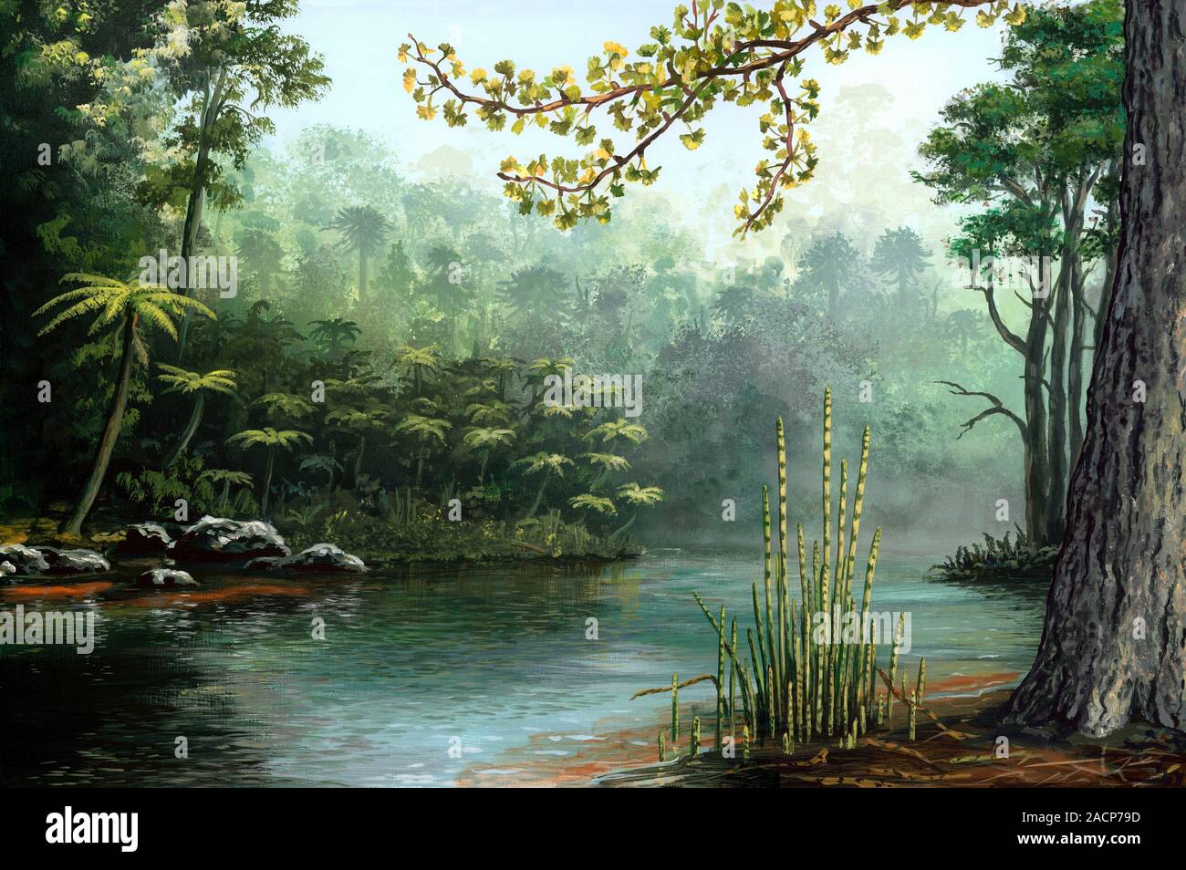 Jurassic landscape. Artwork showing typical plants along a river during ...