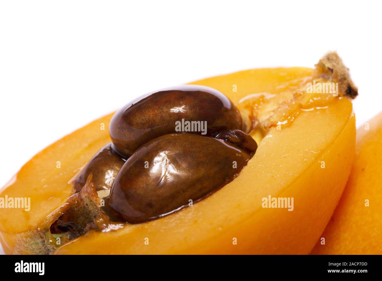 Loquat seed hi-res stock photography and images - Alamy