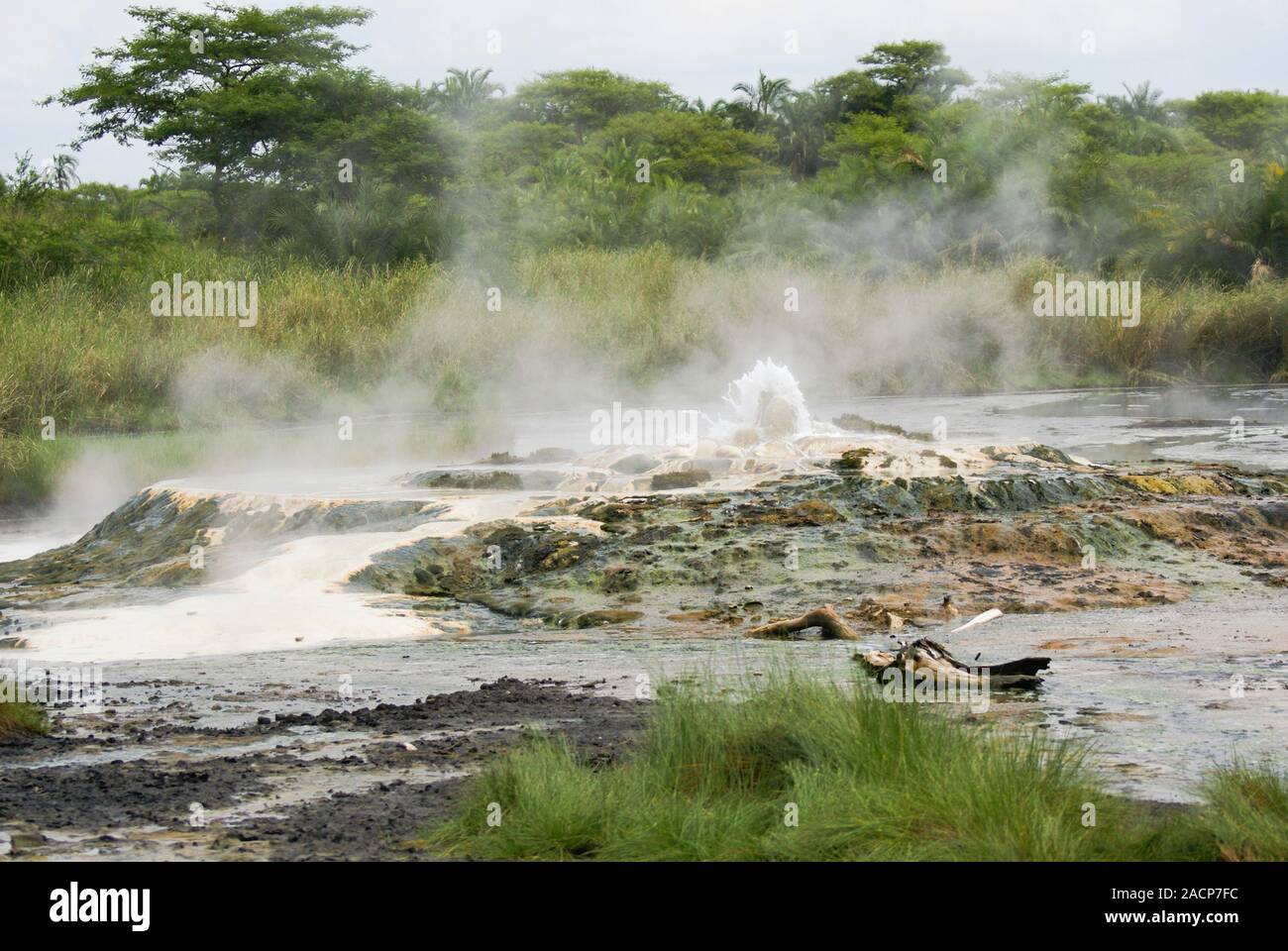 Semuliki National Park in western Uganda Sulphur reach Sempaya hot ...
