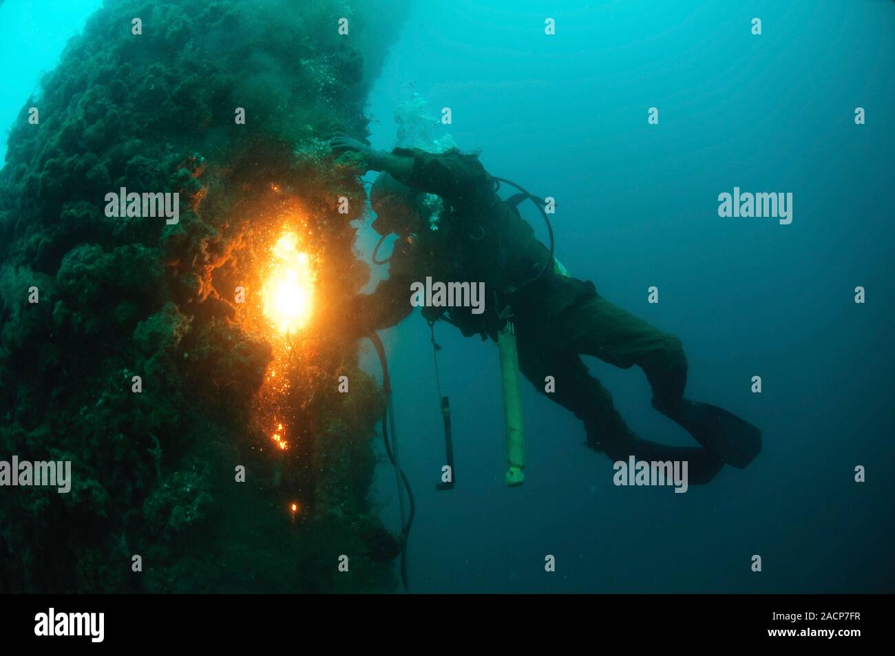 Commercial diver welding pipes underwater. Cables from the surface are ...
