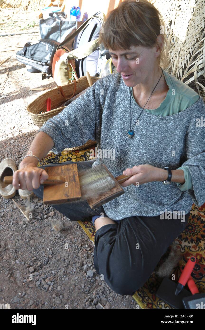 Woman Carding Sheep's Fleece Stock Photo - Alamy