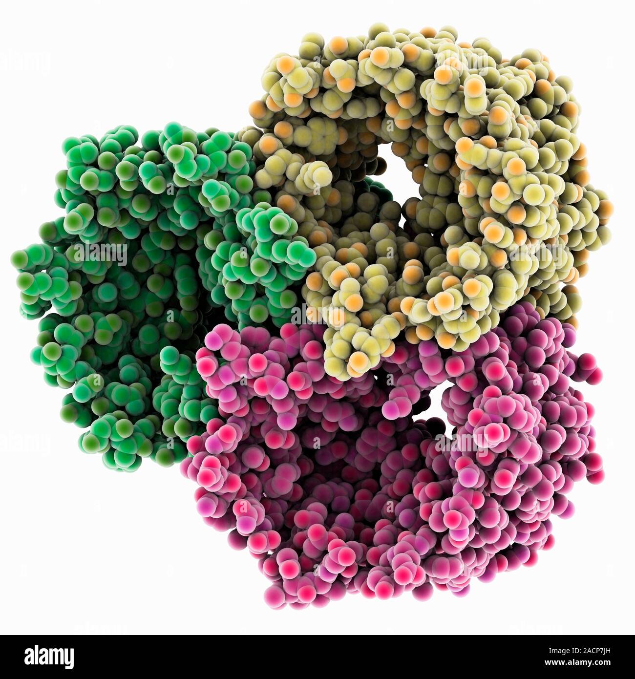 Bacterial Outer Membrane Protein Molecule Model Of The Outer Membrane Protein C Ompc From
