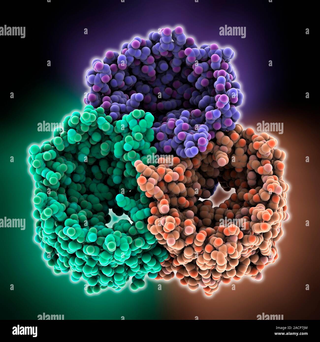 Bacterial outer membrane protein. Molecule model of the outer membrane ...
