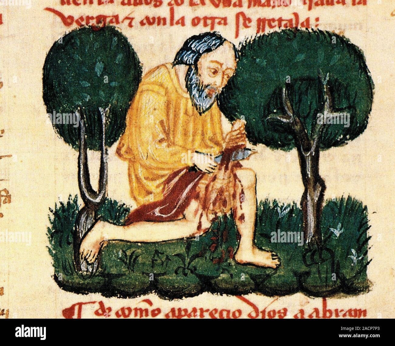 Abrahams Circumcision Illuminated Manuscript Miniature From The 15th Century Alba Bible