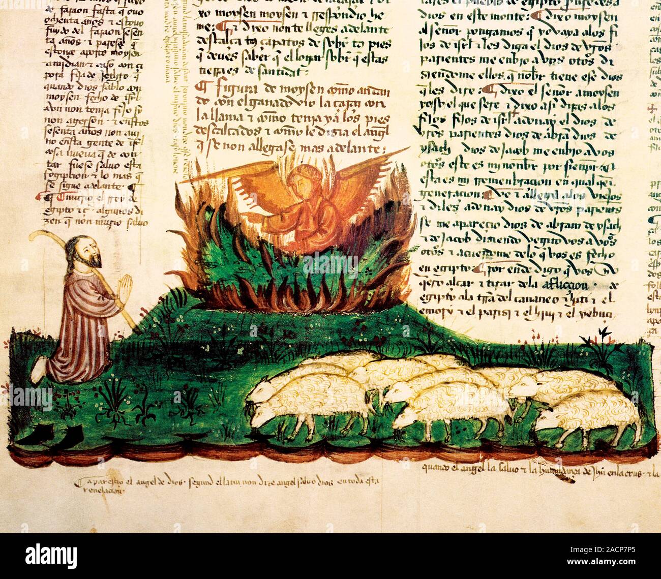 Moses at the burning bush. Illuminated manuscript miniature from the ...
