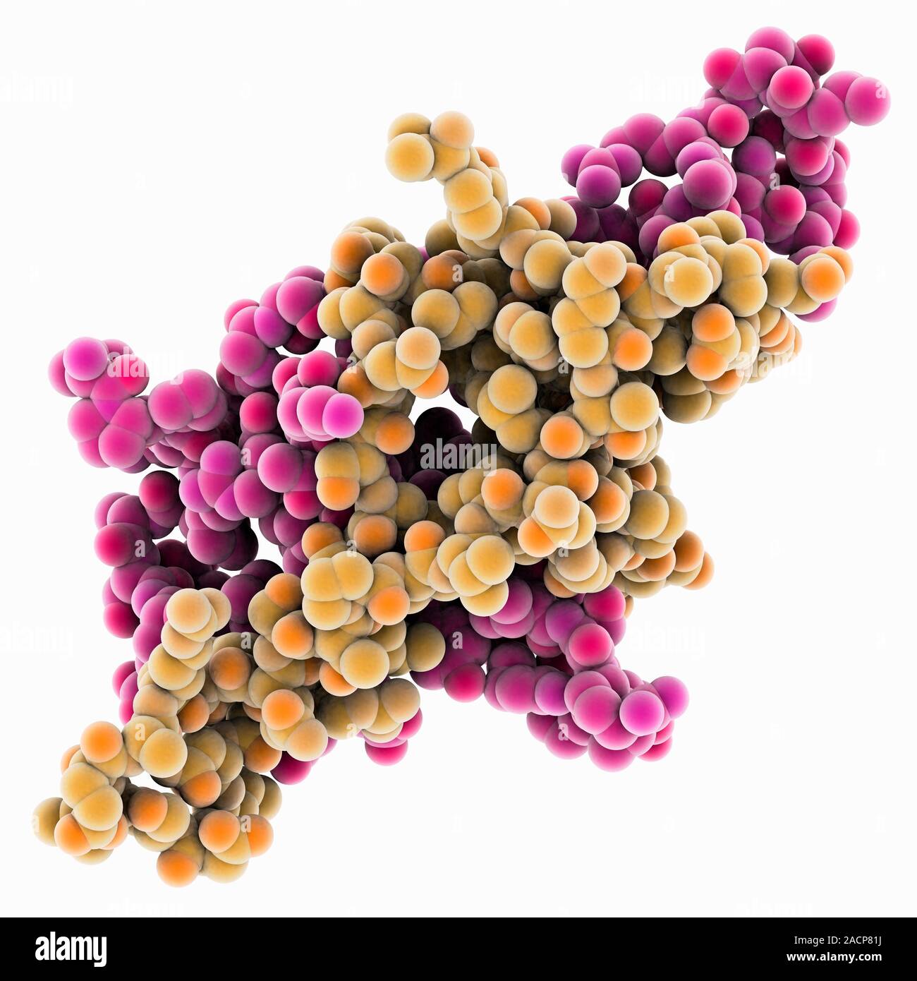 SARS coronavirus protein. Molecular model of the ORF-9b protein ...