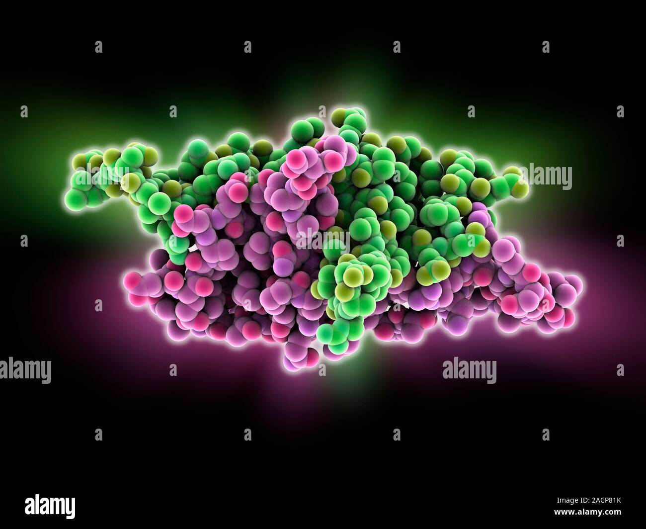 SARS coronavirus protein. Molecular model of the ORF-9b protein ...