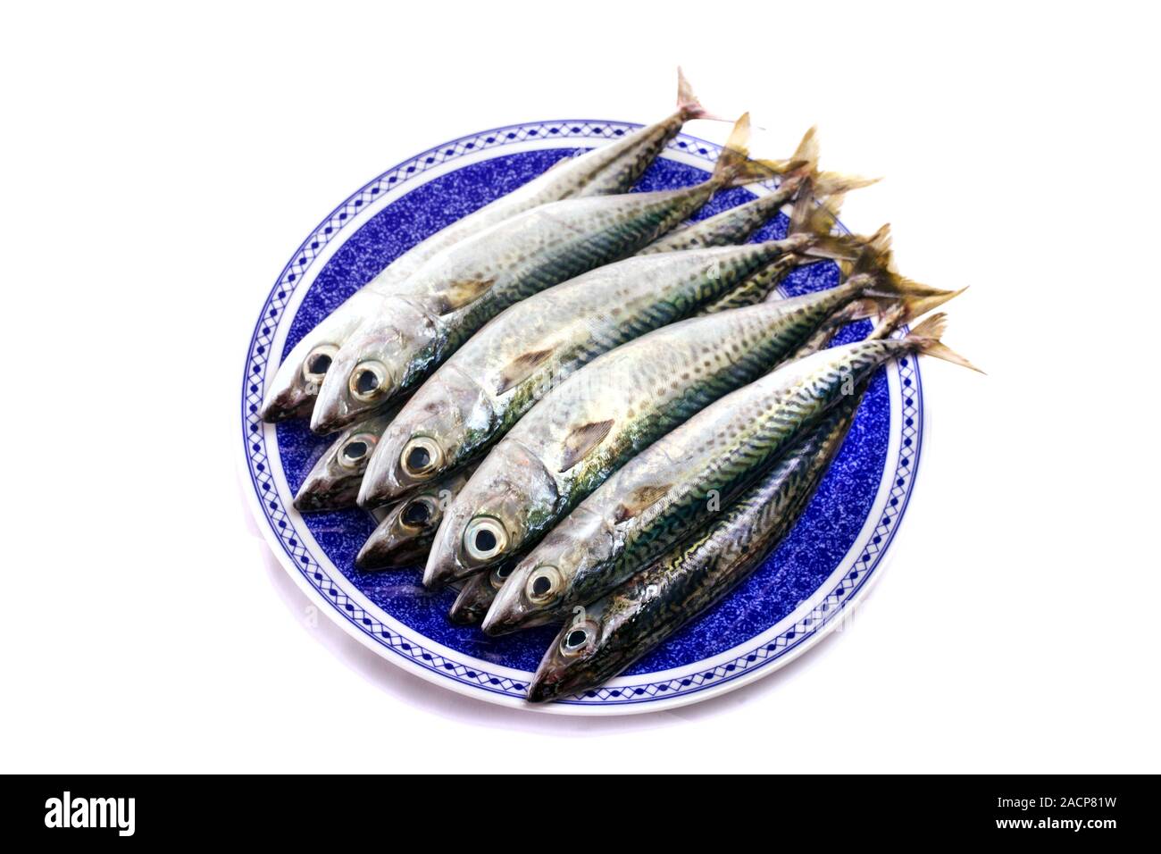 Mackerel plate hi-res stock photography and images - Alamy