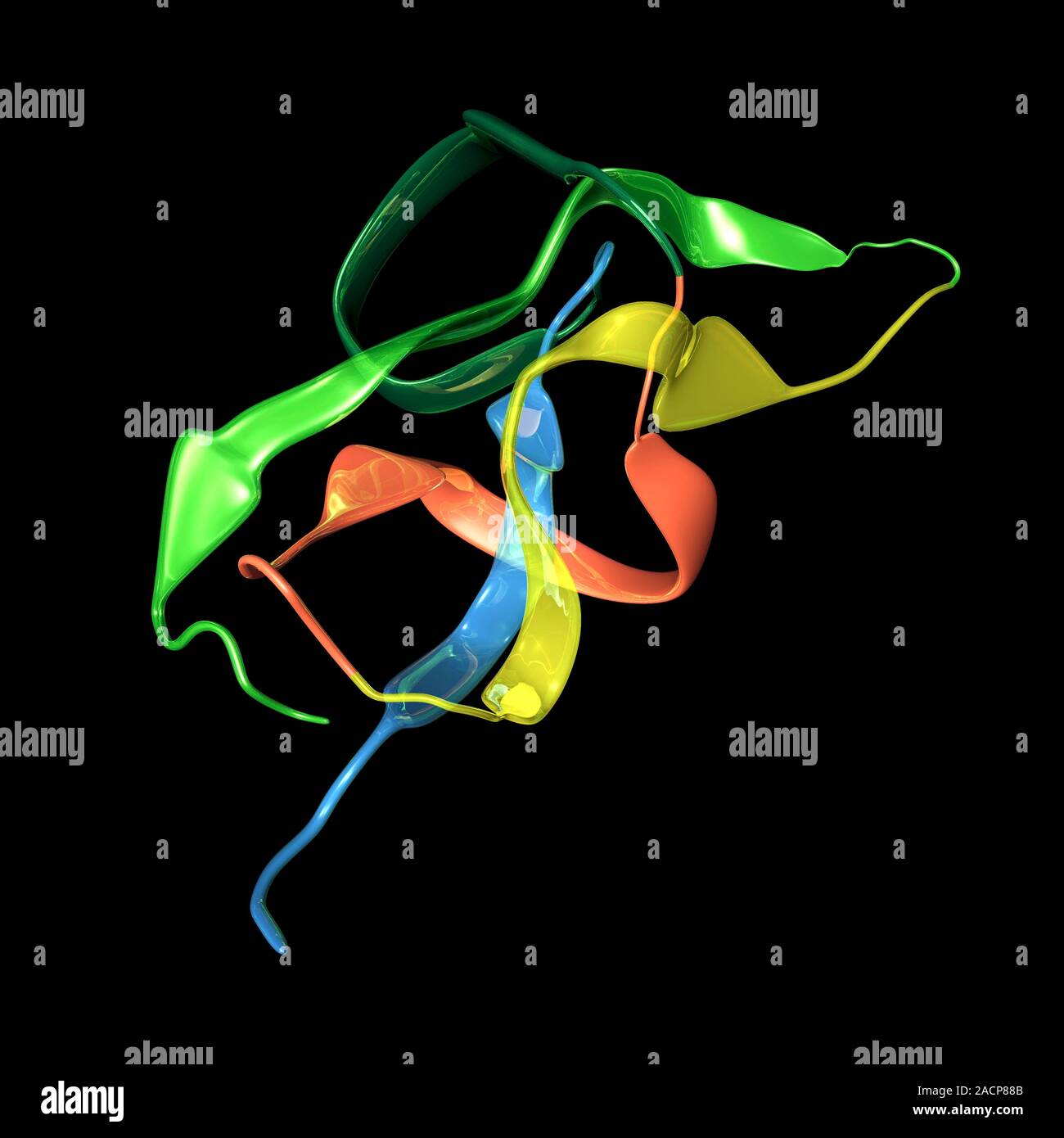 MUC5B molecule. Computer model showing the structure of a molecule of ...
