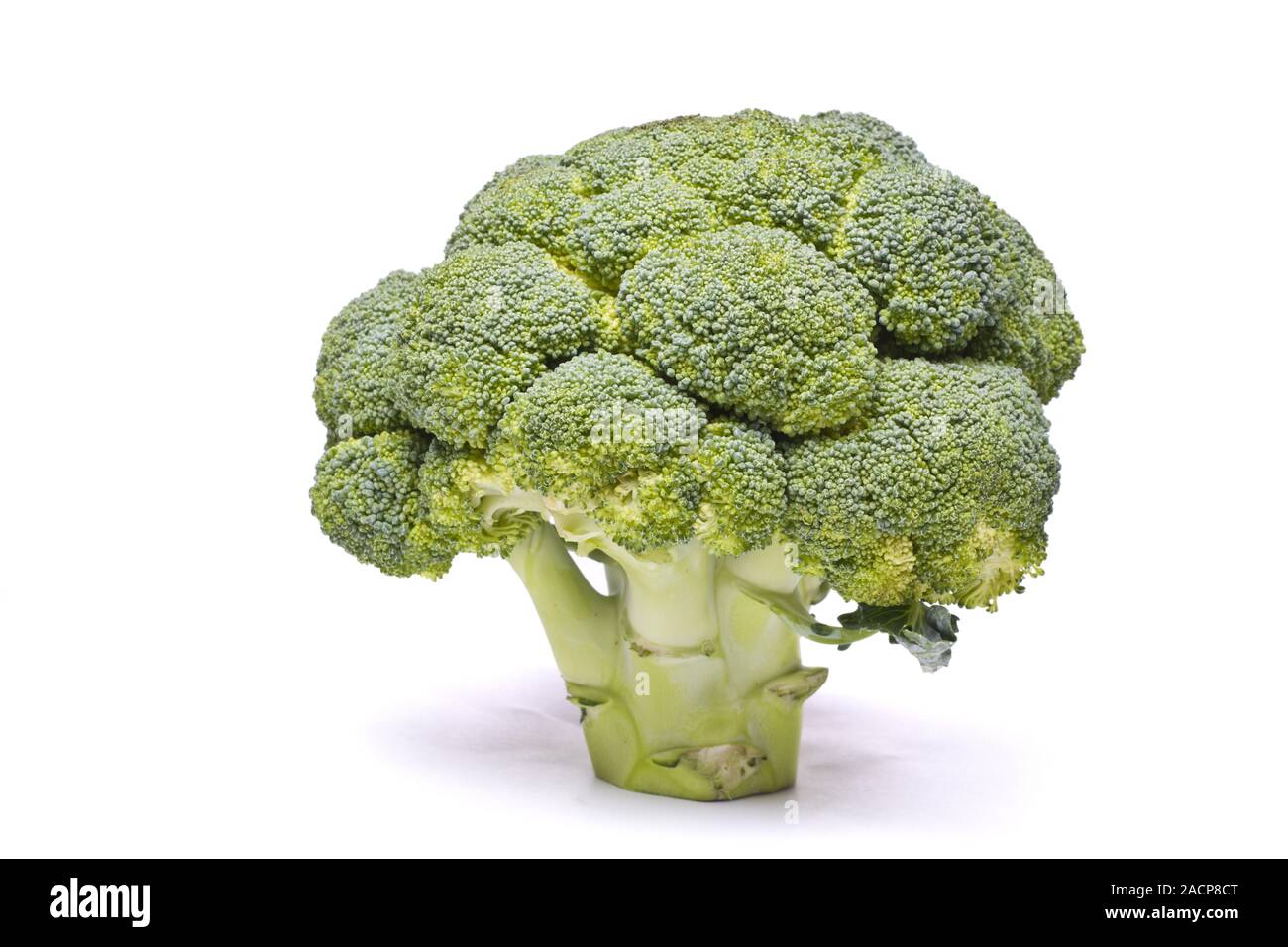 Vegetable broccoli hi-res stock photography and images - Alamy
