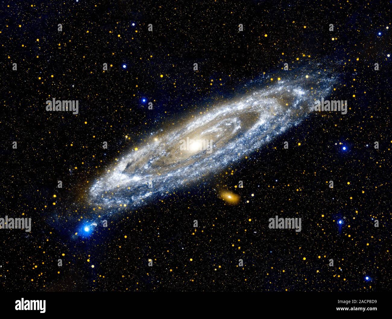 Andromeda galaxy, ultraviolet space telescope image. Andromeda is the ...