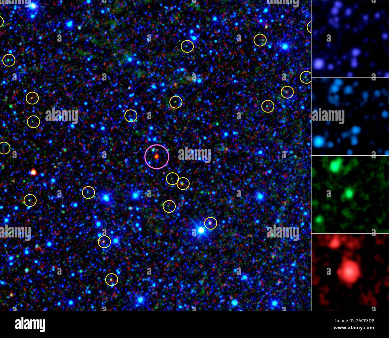 Hot dust-obscured galaxies. Image of a portion of the all-sky survey ...