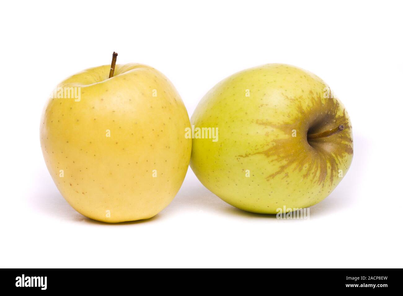 Two yellow apples hi-res stock photography and images - Alamy