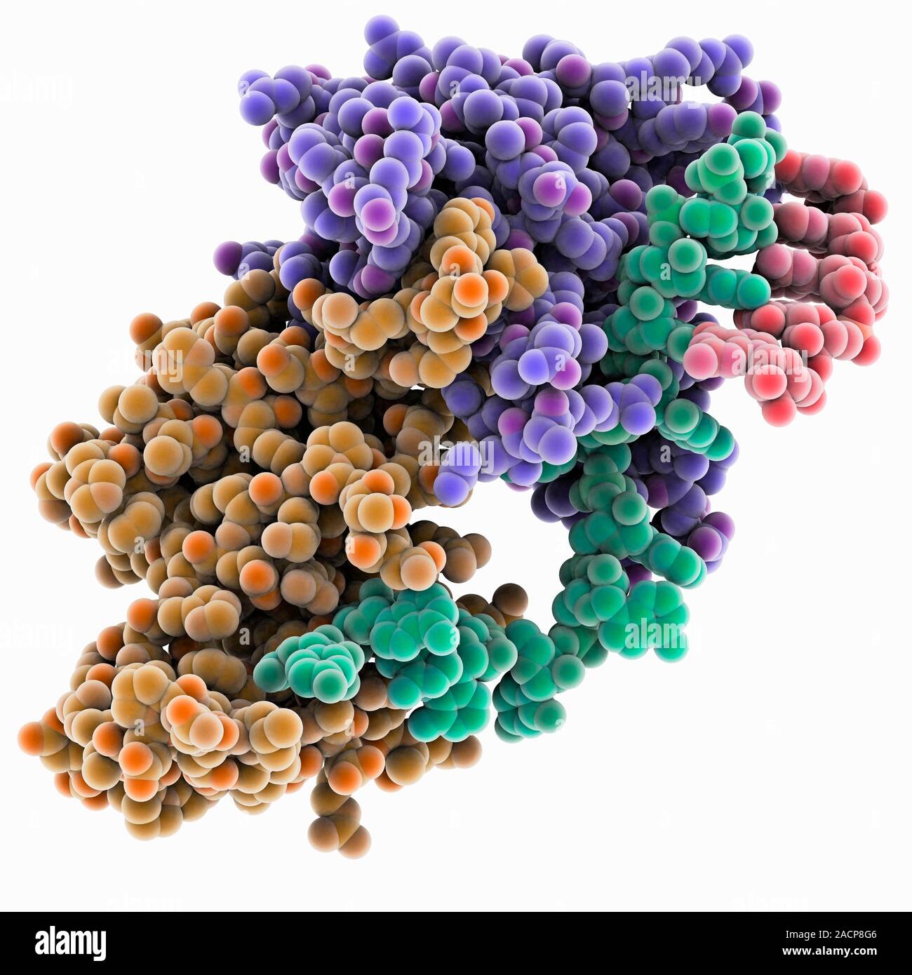 Rna Binding Protein Complex Molecular Model Of A Mitochondrial Rna Binding Protein Complex
