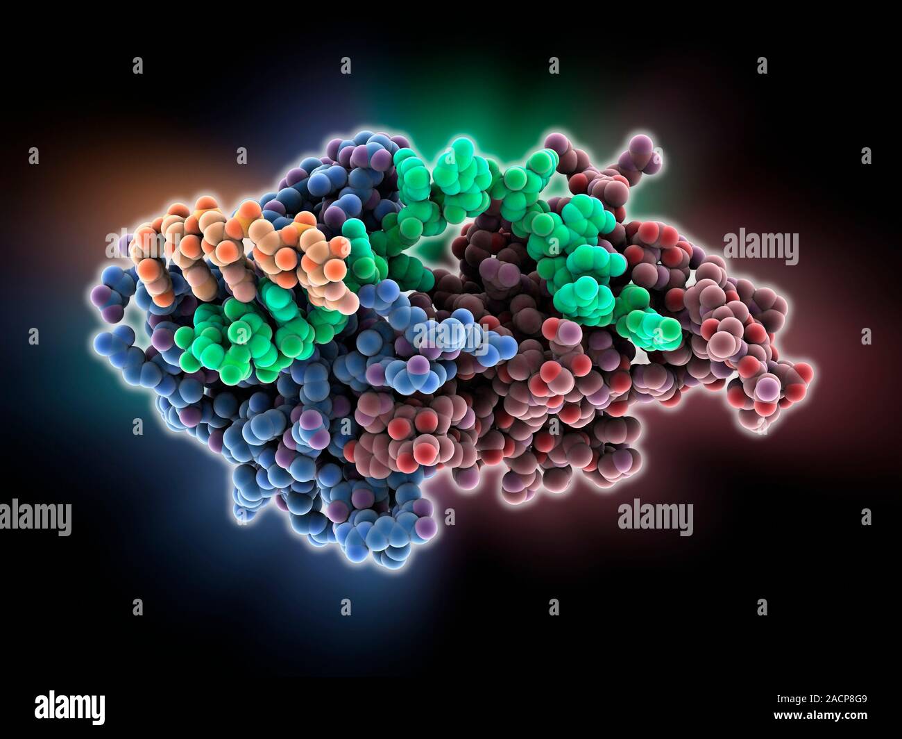 RNA-binding protein complex. Molecular model of a mitochondrial RNA ...