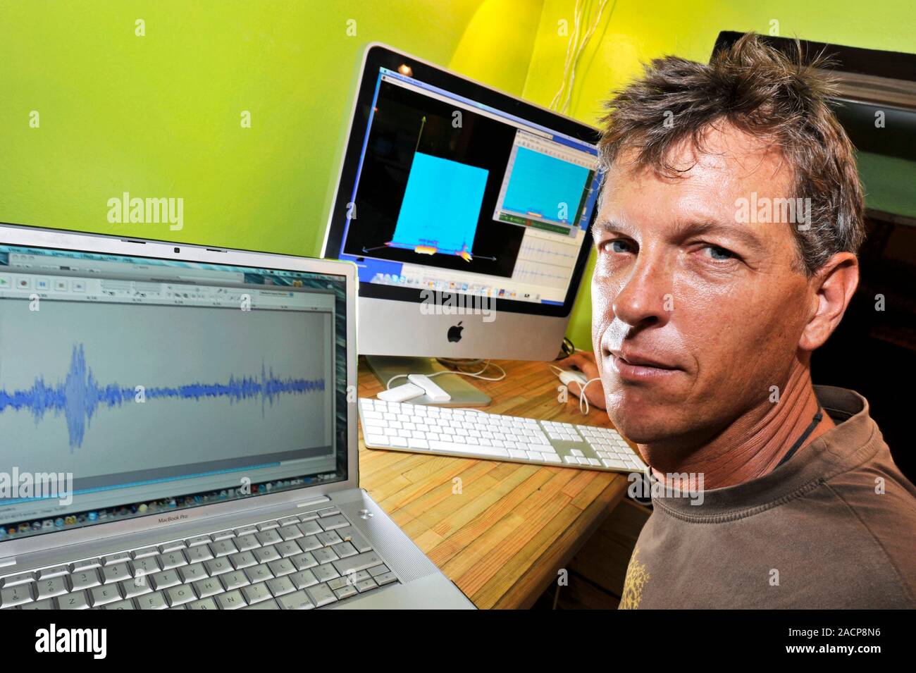 Whale research. Researcher analysing recordings of whale songs ...