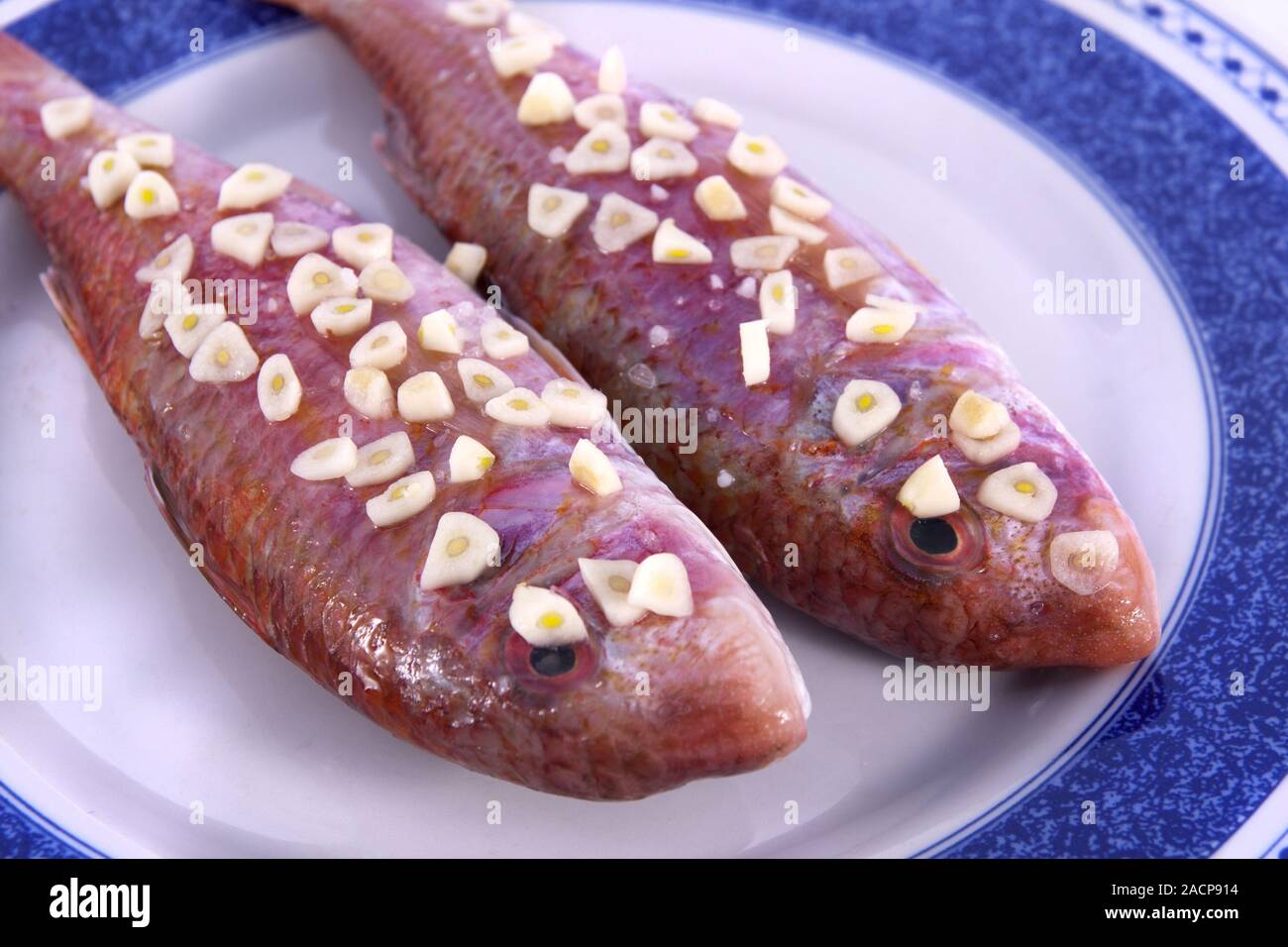 Two red fish hi-res stock photography and images - Alamy