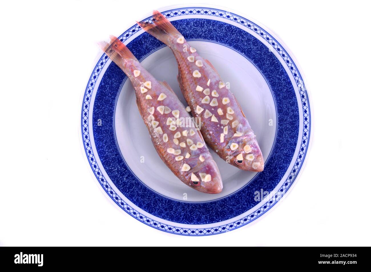 Two red fish hi-res stock photography and images - Alamy