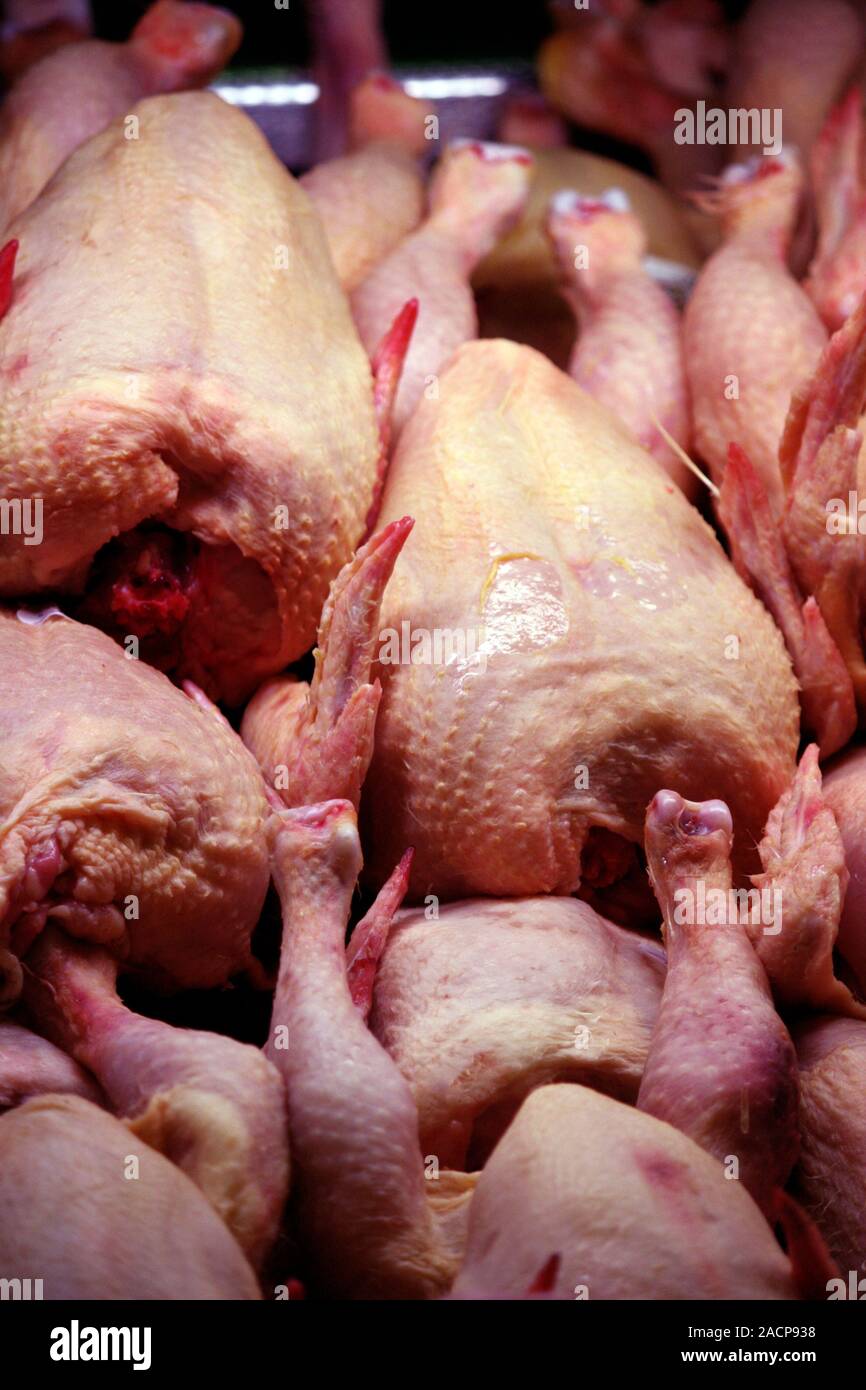 Pile of chickens on the butcher Stock Photo - Alamy