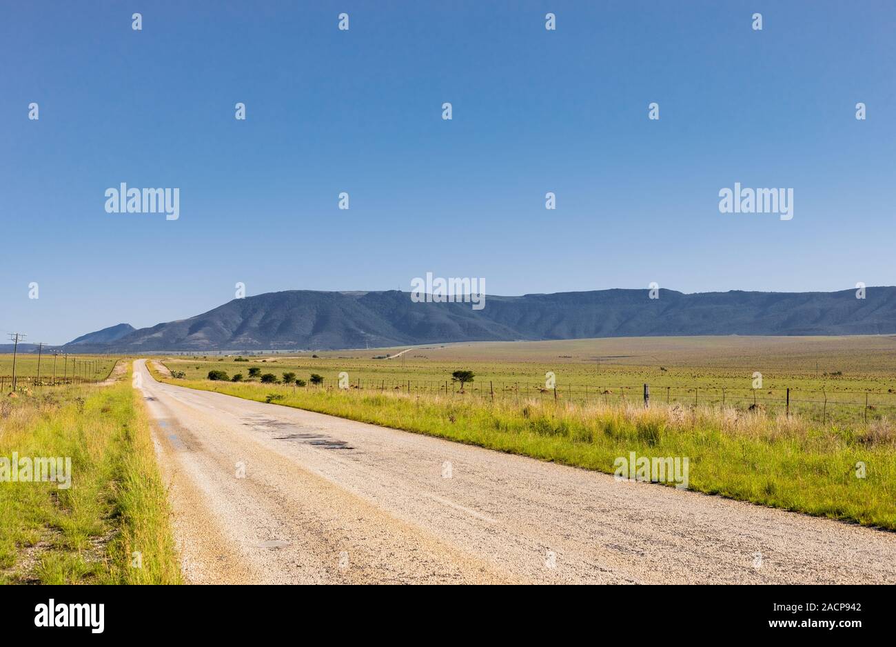 View of an empty country highway road in South African Farmland region ...