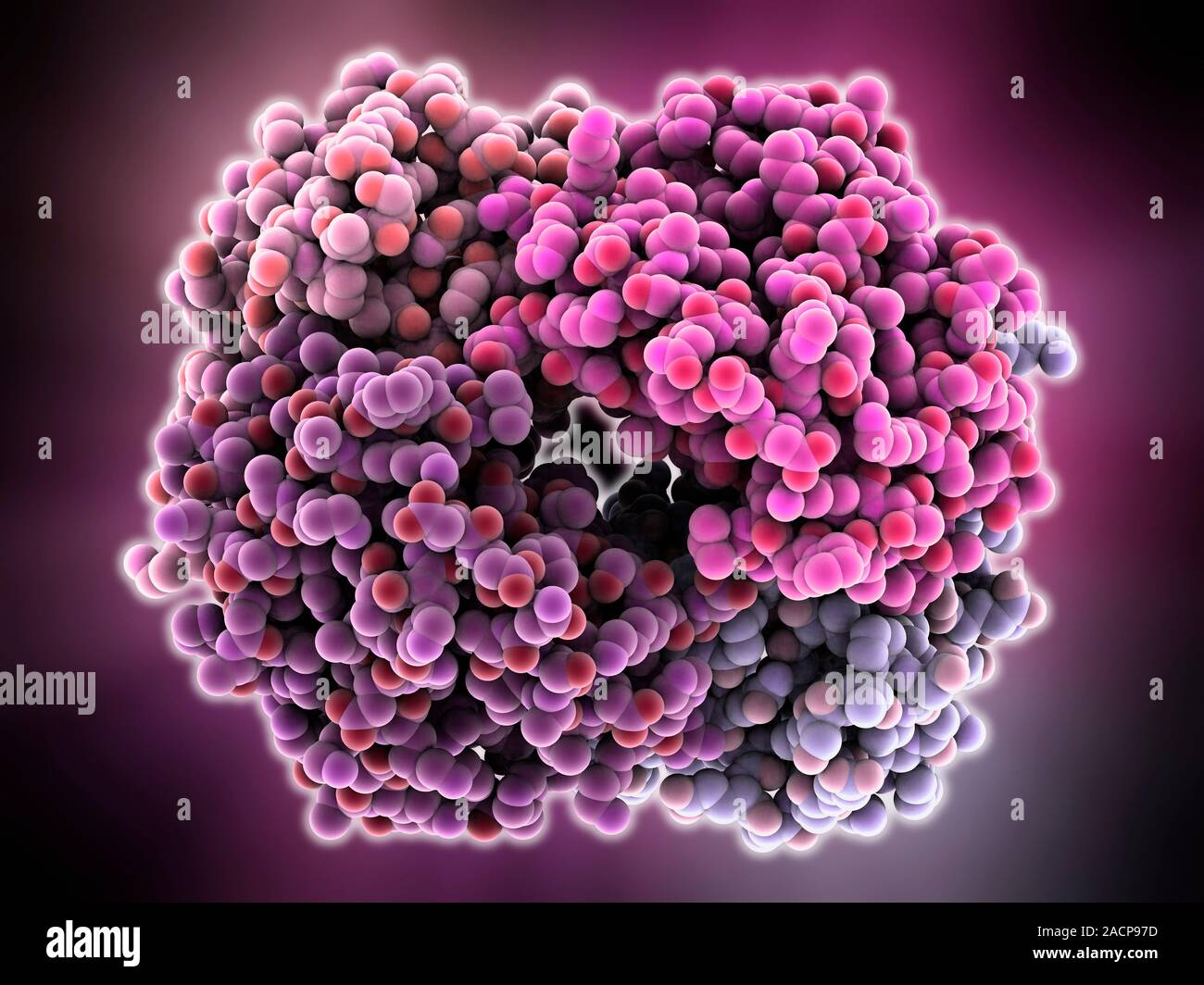 Haemoglobin S. Molecular model of the mutant form of haemoglobin ...