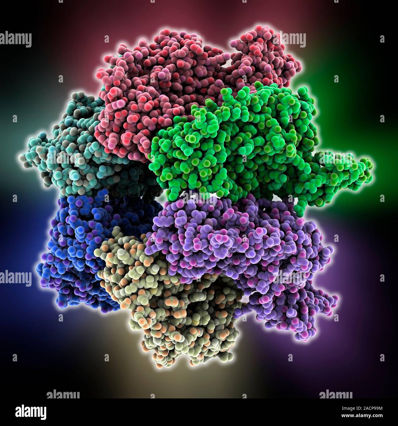 DNA translocase, molecular model. This is FtsK, a DNA translocase that ...