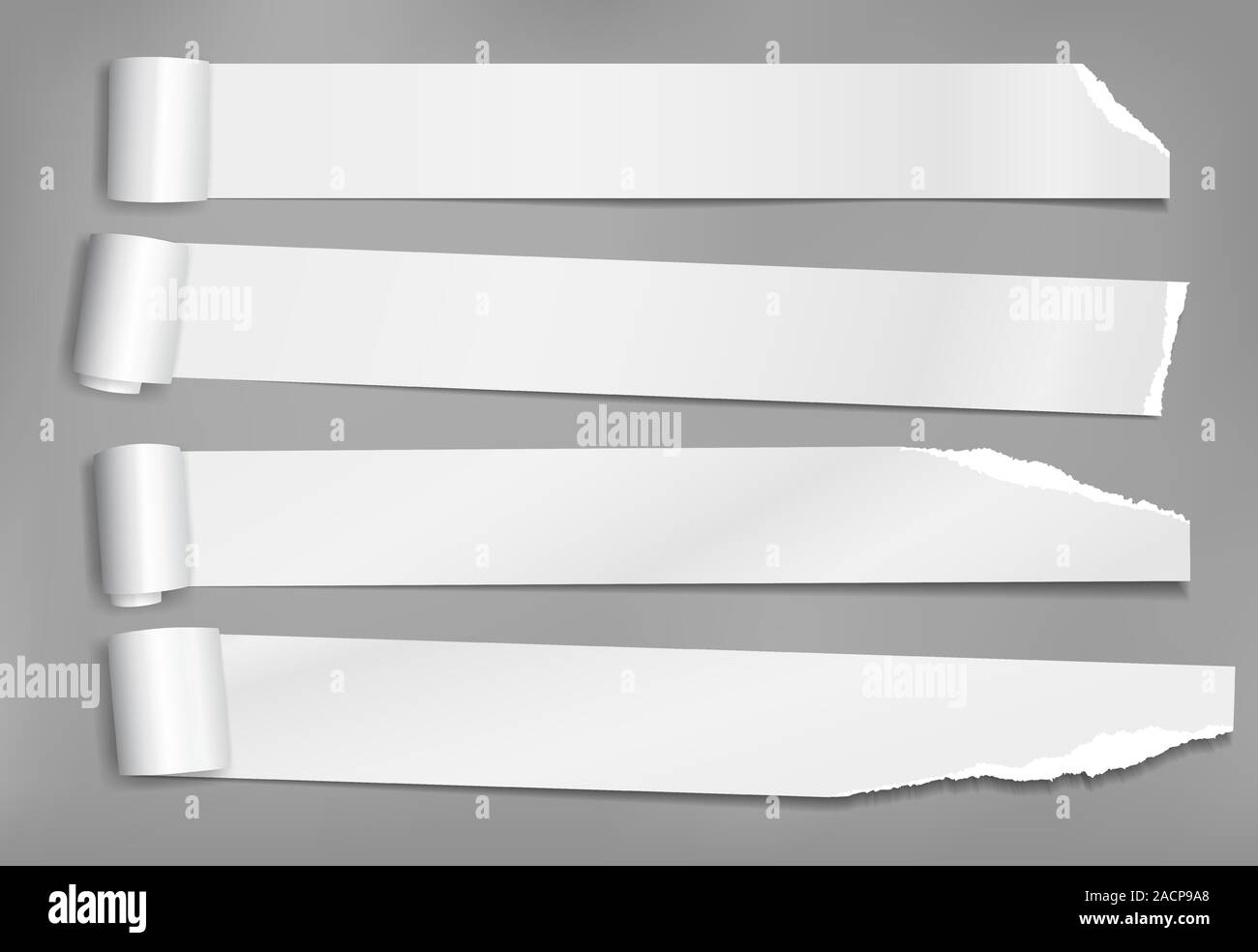 Rolled and ripped white notebook paper pieces, strips are on dark grey ...