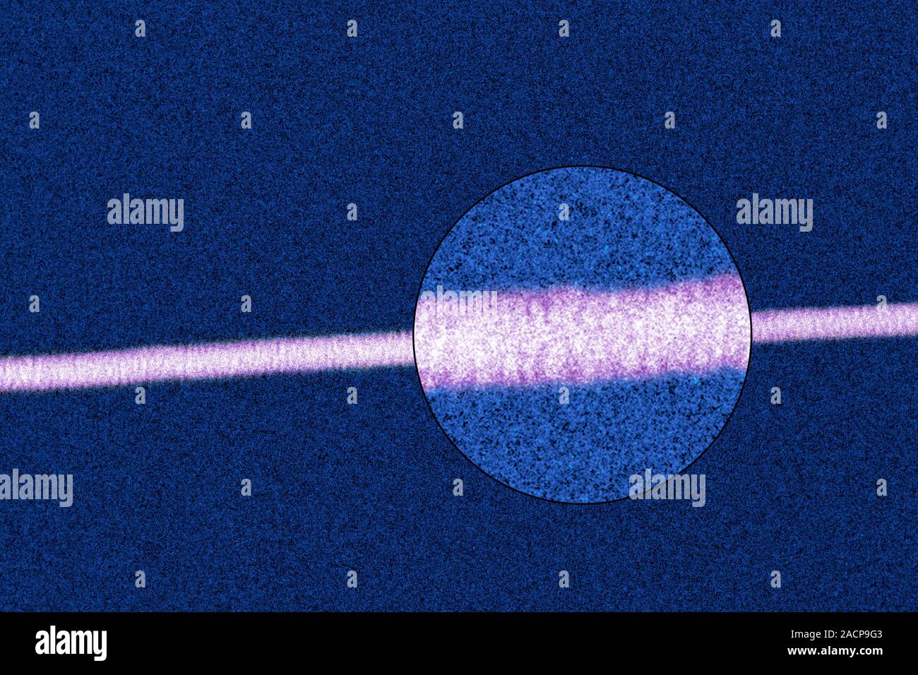 High-contrast direct DNA image. Coloured transmission electron ...
