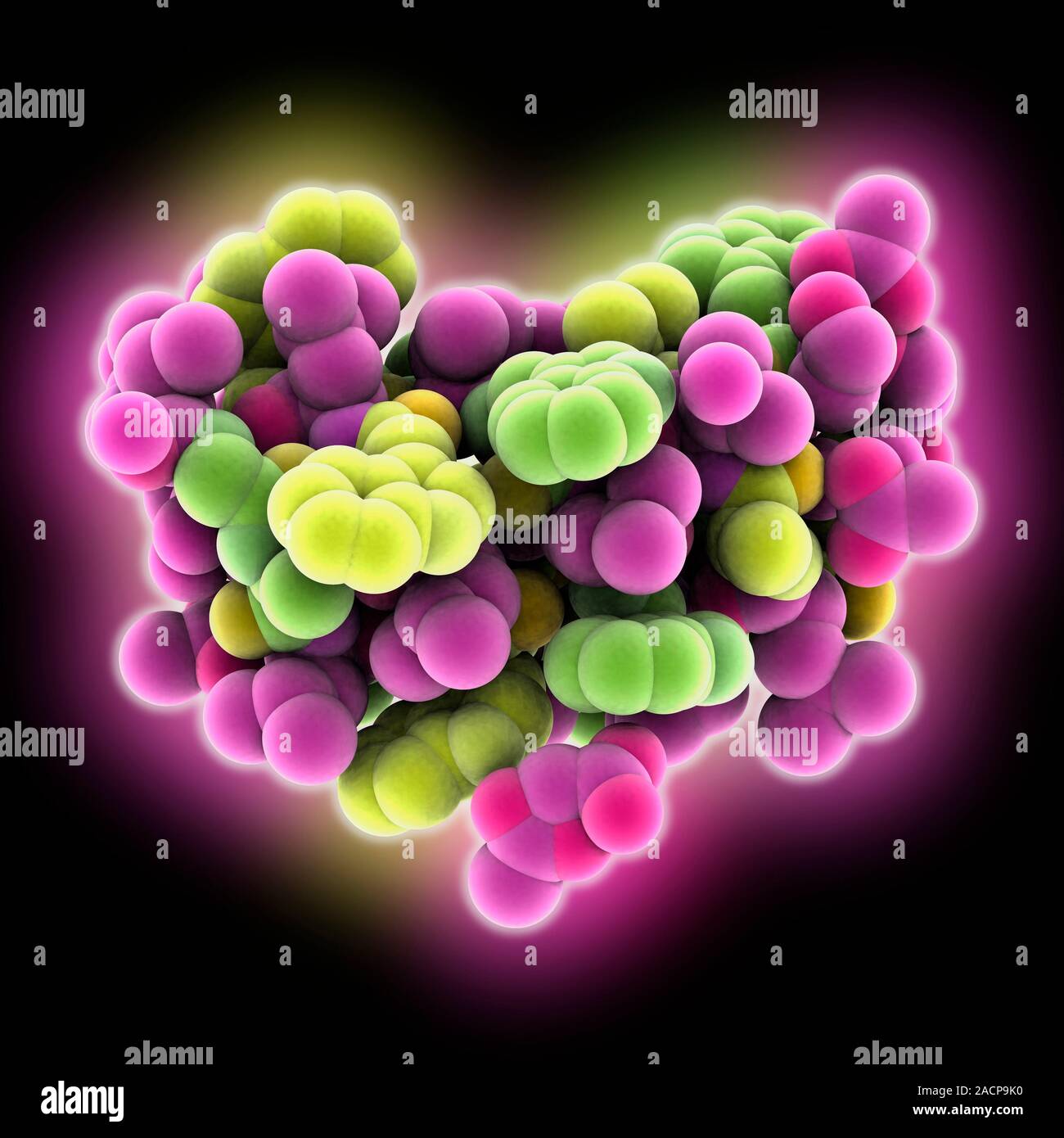 Gramicidin. Molecular model of the antibiotic gramicidin D, from the ...
