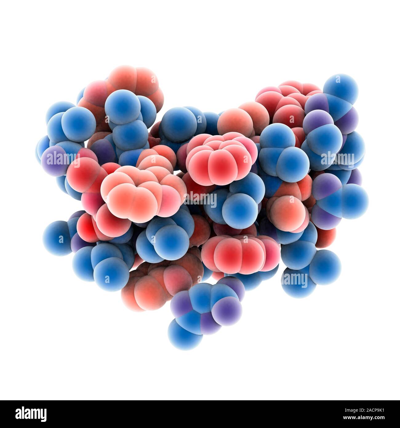Gramicidin. Molecular model of the antibiotic gramicidin D, from the ...